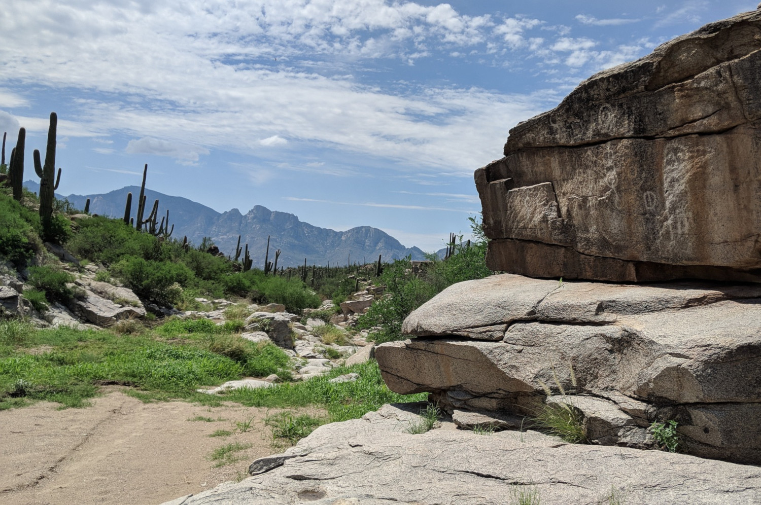 Cheap flights from Montreal to Tucson, Arizona from $427! - Flytrippers