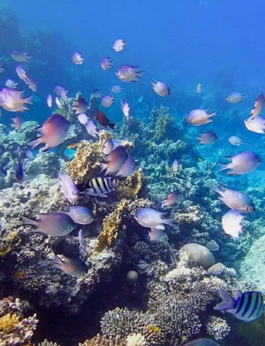 6 astuces pour un voyage en Jordanie, destination de rêve au Moyen ...