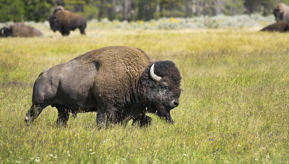 The Most Visited National Park In Each Canadian Province On One Cool ...