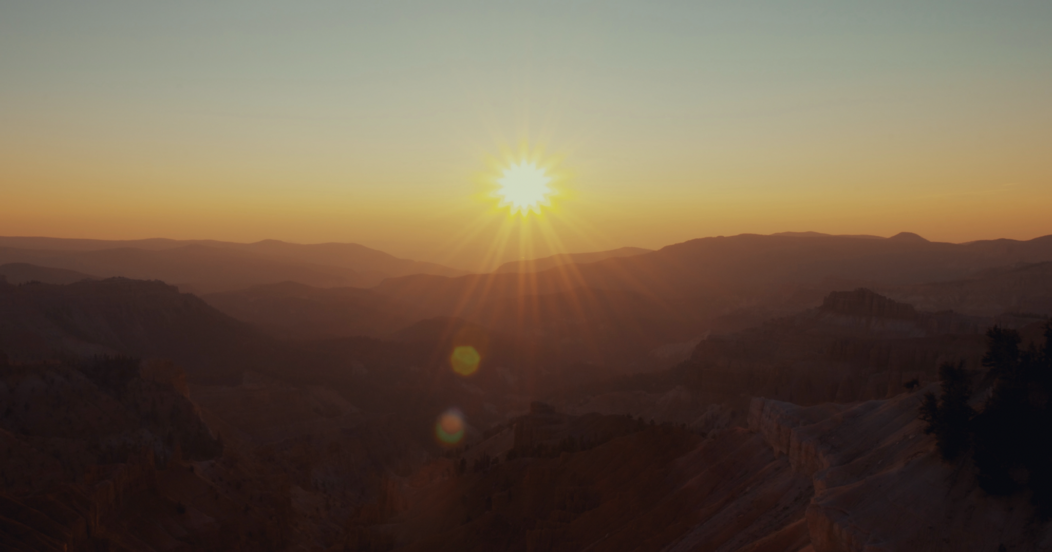 Carte NEXUS: guide ultime (2025) - Flytrippers