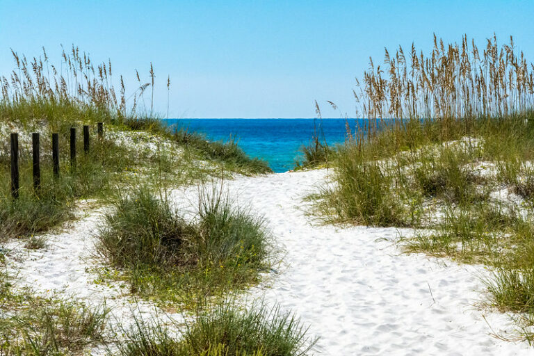 12 coasts of Florida: the different regions of the Sunshine State (part ...