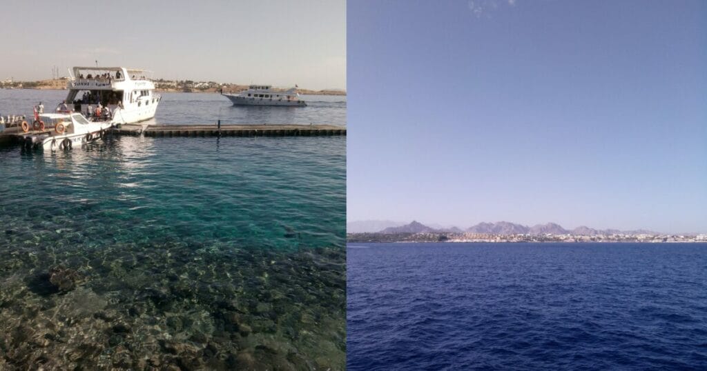 Mon voyage de plongée de 6 jours dans la mer Rouge en Égypte pour 499 ...