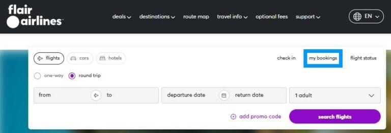 How to manage your plane ticket reservation: info to fill in, seat ...