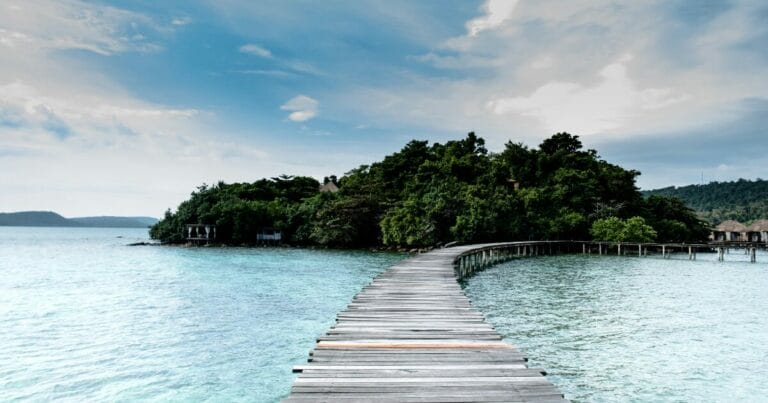 How to transfer RBC Avion points to partners - Flytrippers