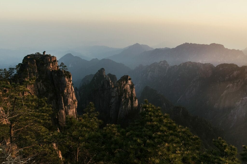 The 17 megadiverse countries: where there's the greatest biodiversity ...