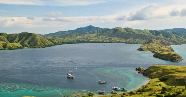 The 17 megadiverse countries: where there's the greatest biodiversity ...