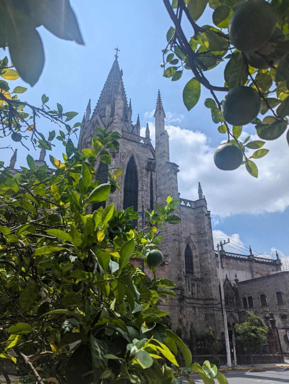 12 reasons I loved visiting Guadalajara (Mexico) - Flytrippers